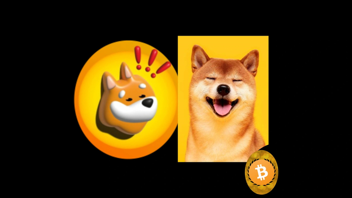 Bonk Inu: Entenda O que é a MemeCoin Rival da Shiba | Bitcoin Lovers